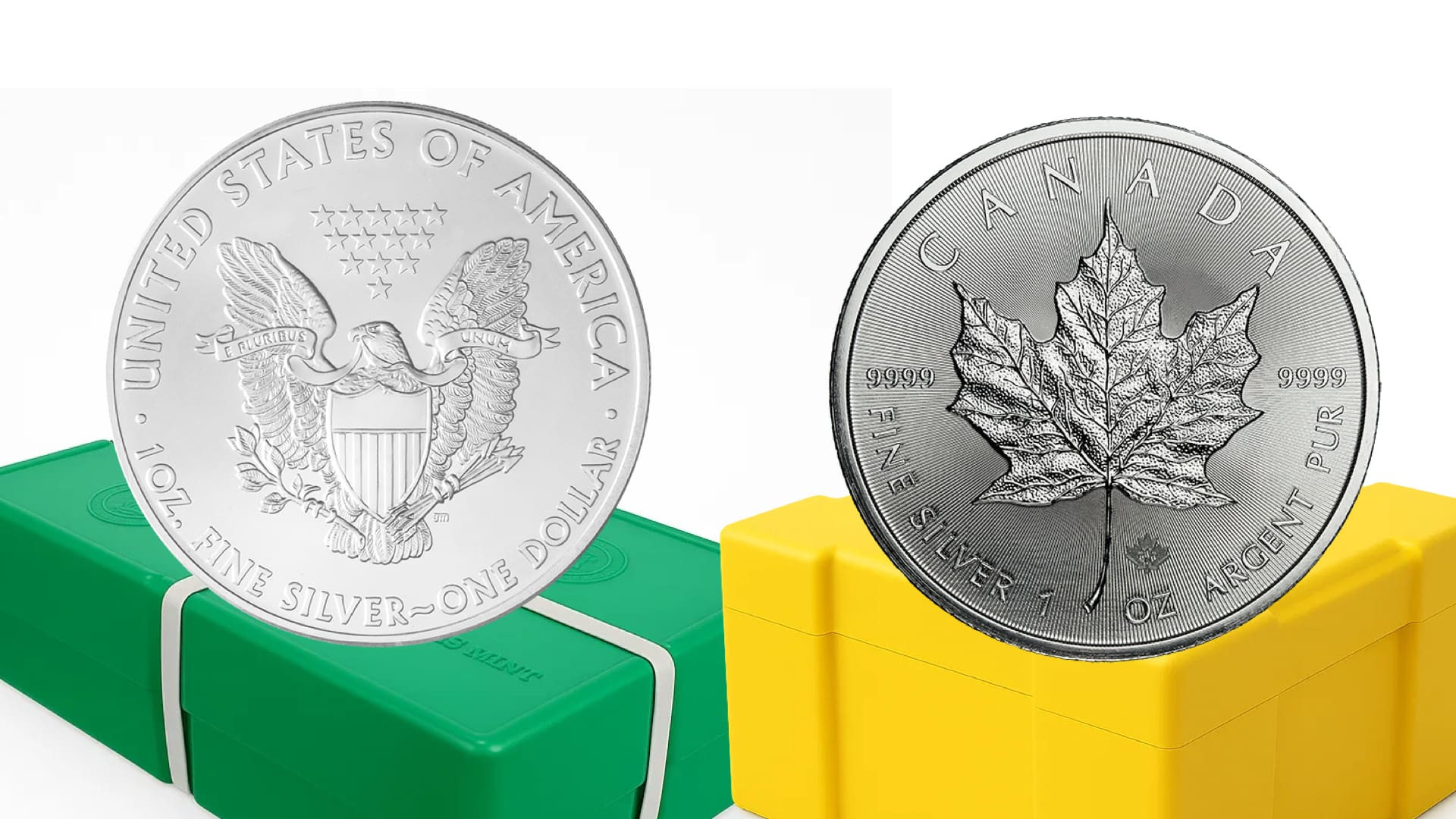 Silver Coin Monster Box | 500 oz of Government Minted Silver